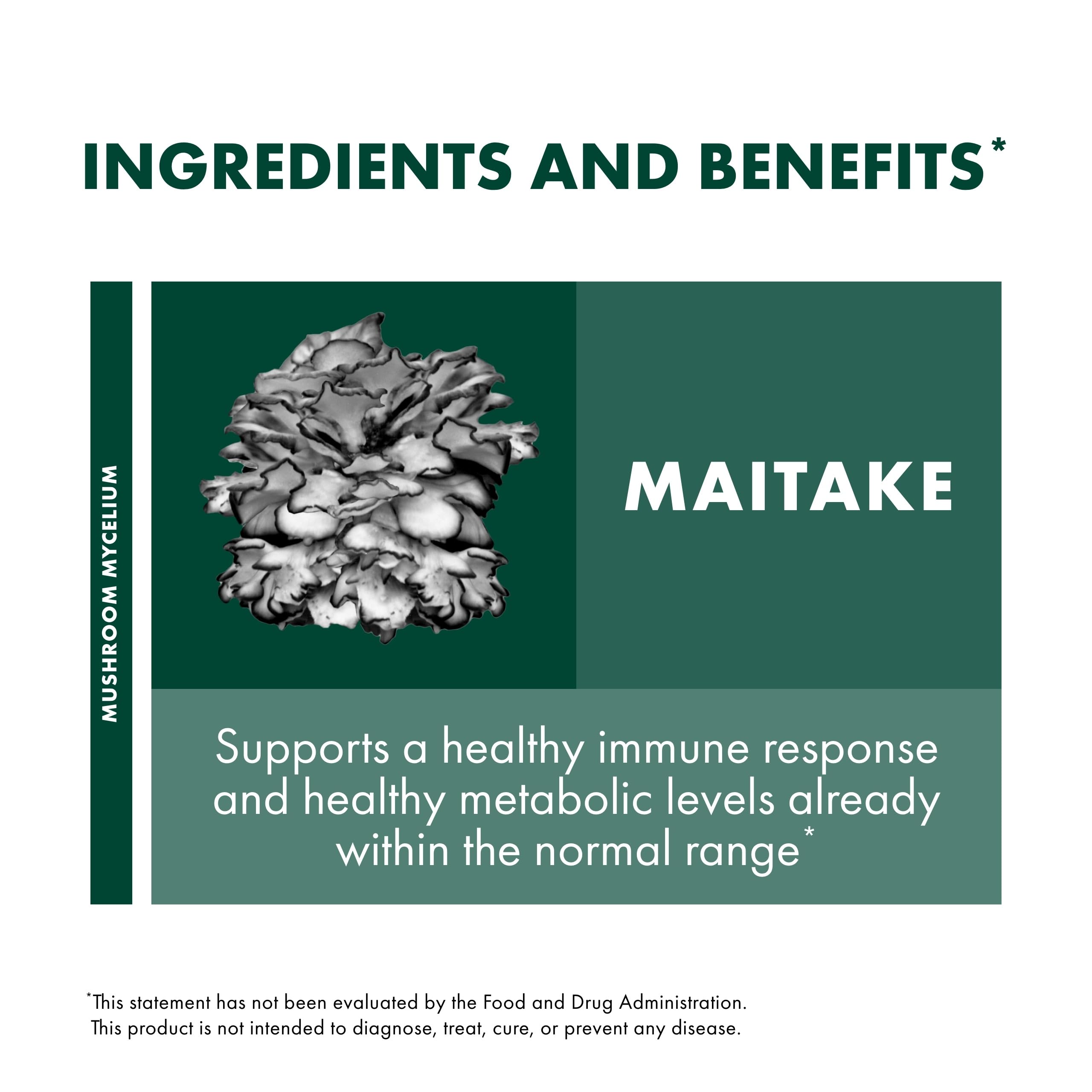 Nutrient-rich mushroom extract