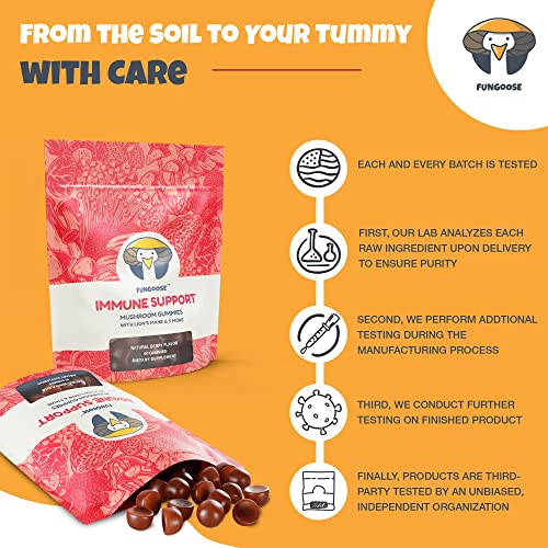nutrient-rich mushroom gummies for adults