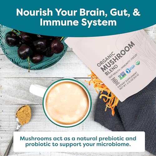 nutrient-rich mushroom powder benefits