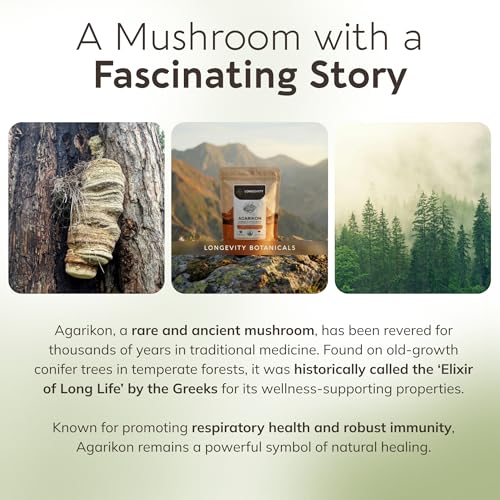 nutrient-rich mushroom powder for recipes