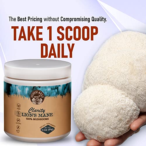 nutrient-rich mushroom powder supplement