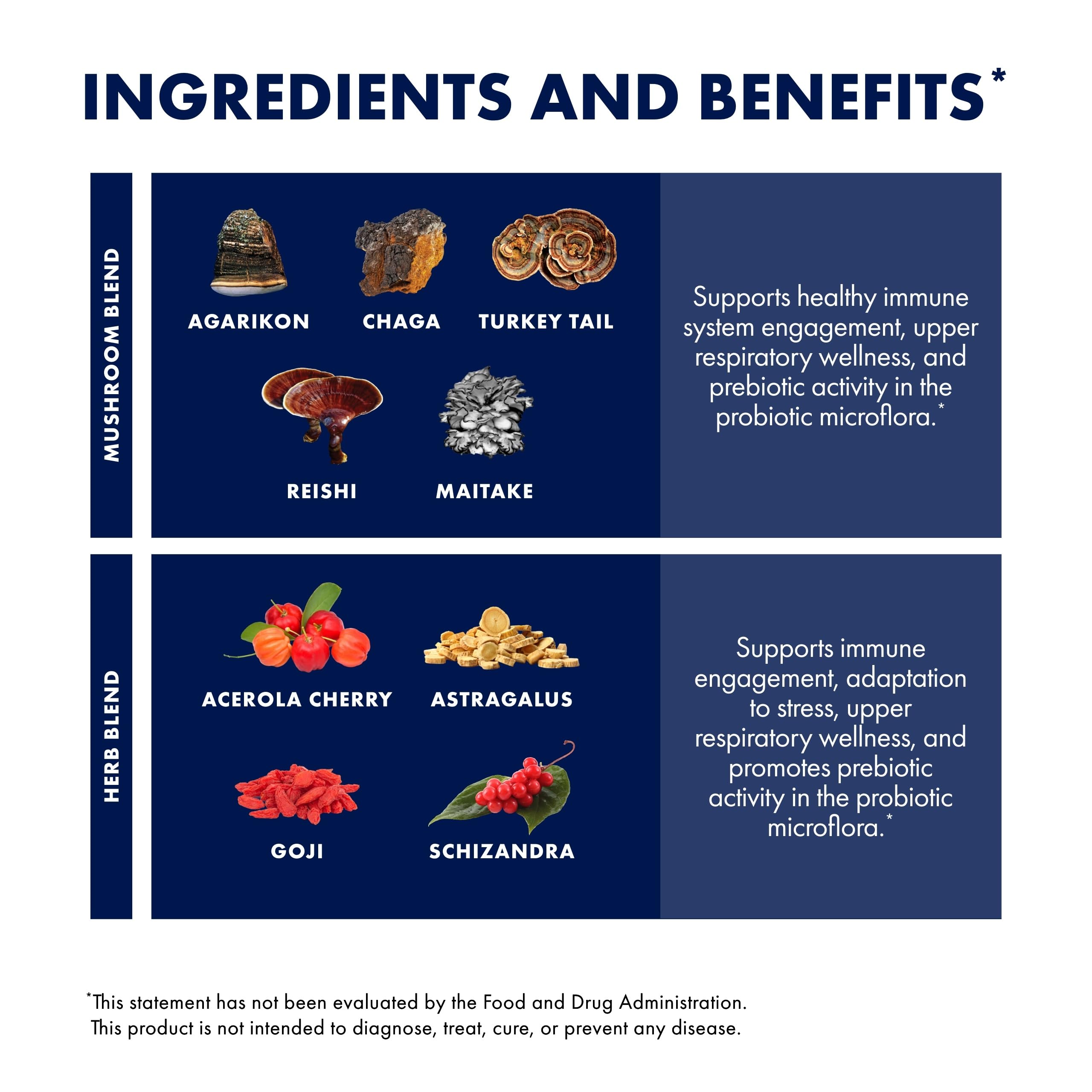 Nutrient-rich mushroom powder