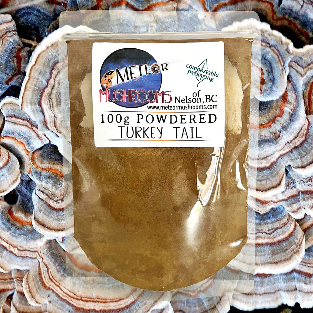 nutrient-rich mushroom powder