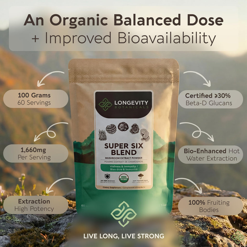 nutrient-rich mushroom superfood