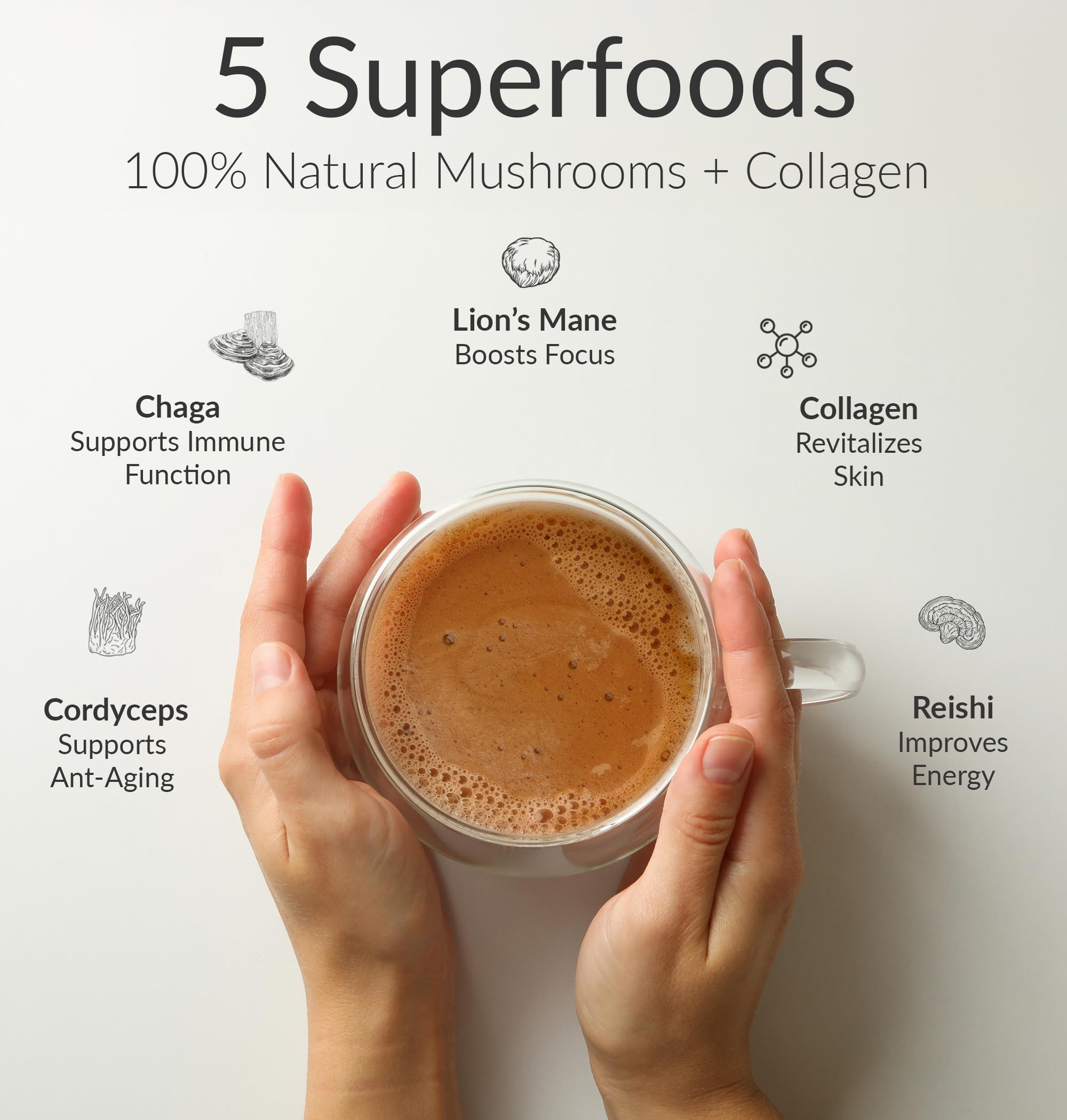 nutrient-rich mushroom supplement blend