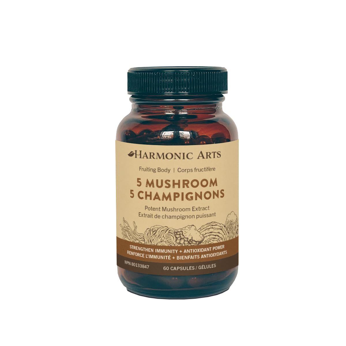 nutrient-rich mushroom supplement capsules