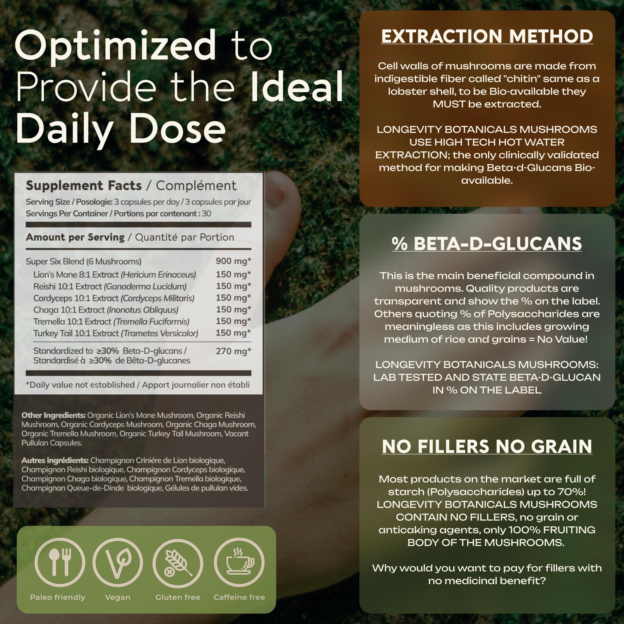 nutrient-rich mushroom supplement formula