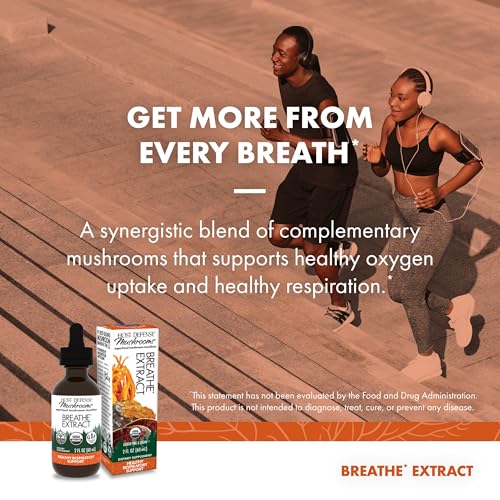 nutrient-rich mushroom supplement