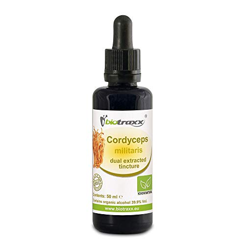 nutrient-rich mushroom tincture for health
