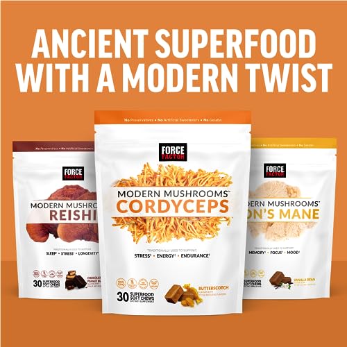 Nutrient-rich mushrooms for better health