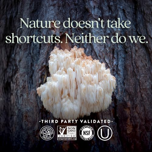 Nutrient-rich mushrooms for daily health