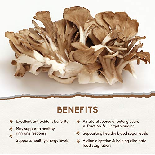 nutrient-rich mushrooms for daily health