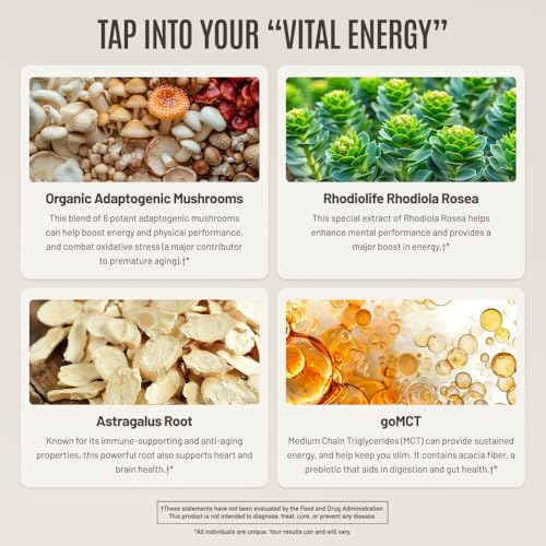 nutrient-rich mushrooms for daily health