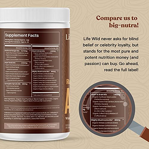nutrient-rich mushrooms for everyday use