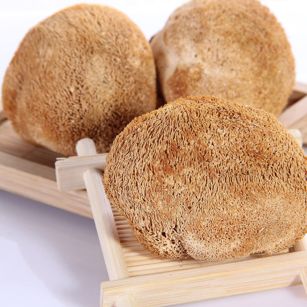 nutrient-rich mushrooms for health