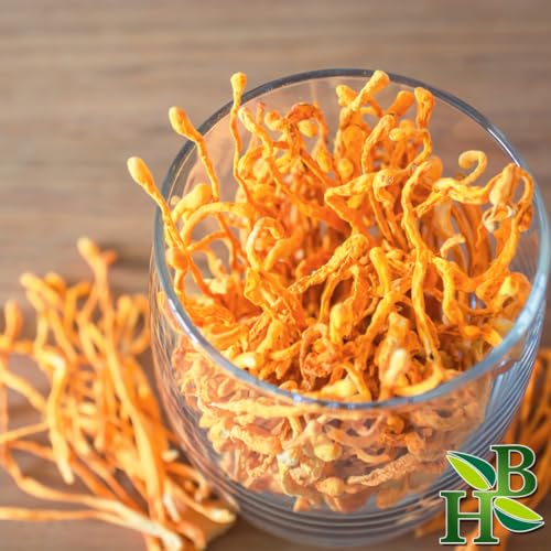 nutrient-rich mushrooms for tea