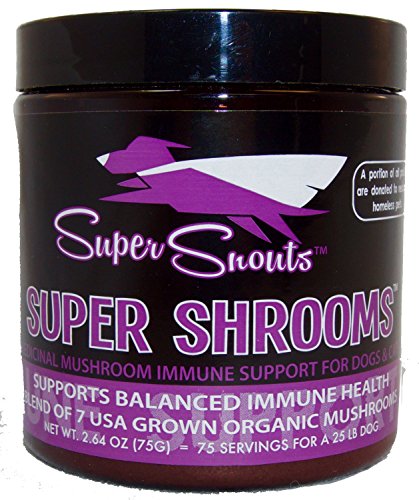 nutrient-rich mushrooms for vitality