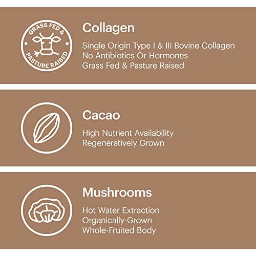 Nutrient-rich mushrooms for vitality