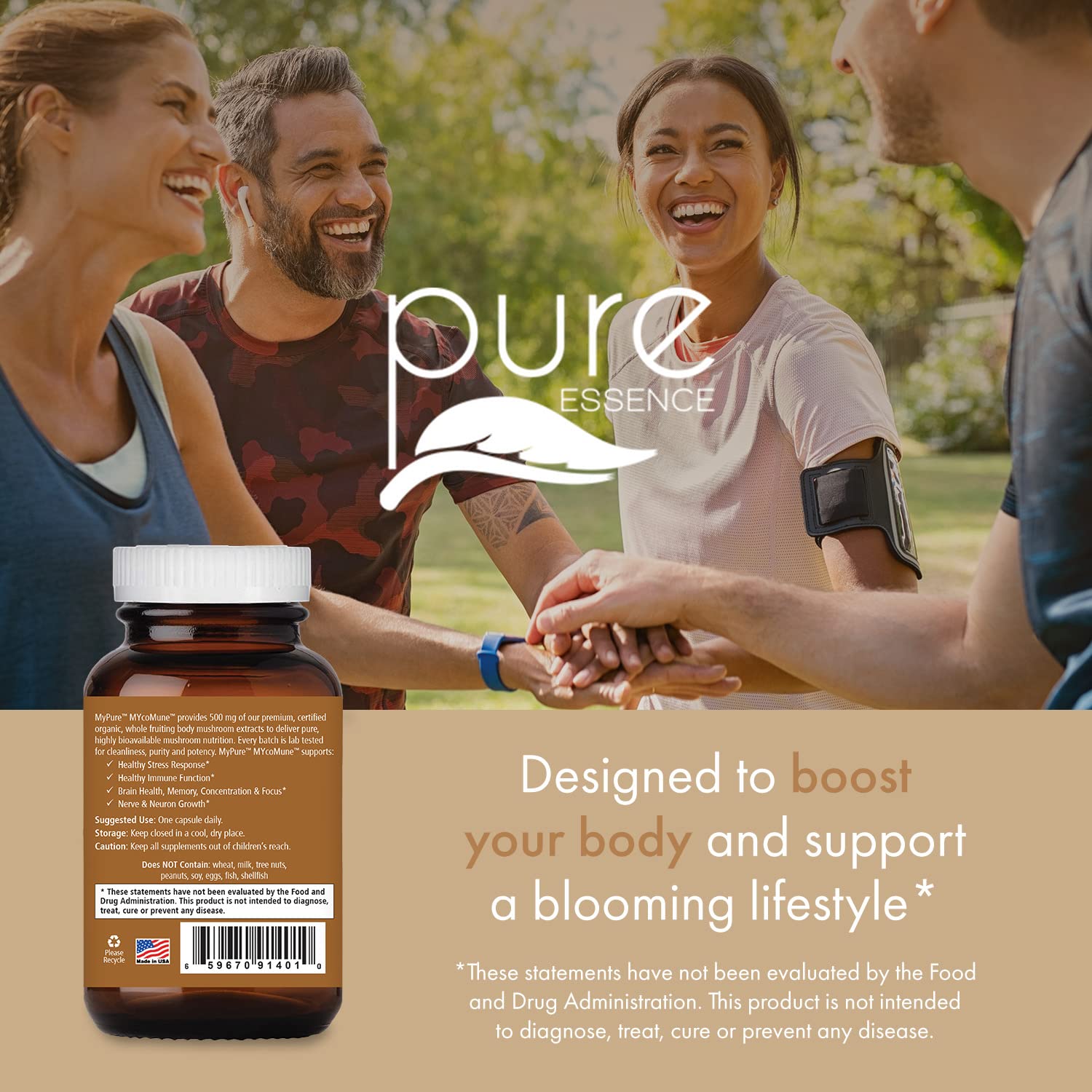 nutrient-rich mushrooms for wellness