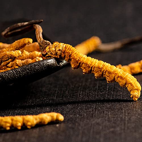 nutrient-rich mushrooms for wellness