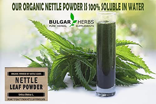 nutrient-rich nettle powder benefits