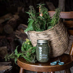 nutrient-rich nettle seeds