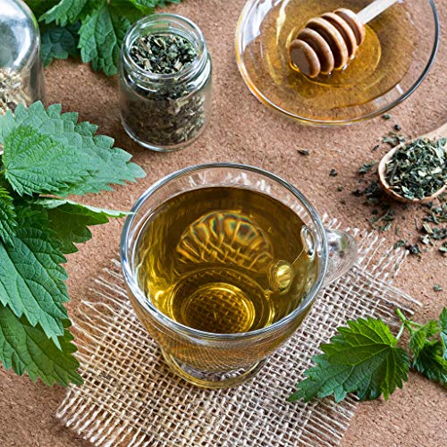 nutrient-rich nettle tea blend
