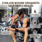 nutrient-rich organ extract capsules