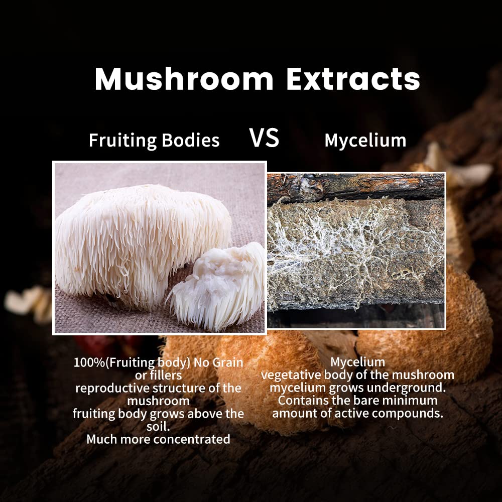 nutrient-rich organic mushroom powder