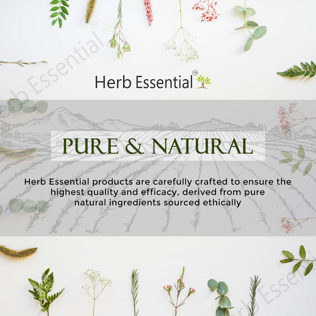 nutrient-rich papaya leaf powder