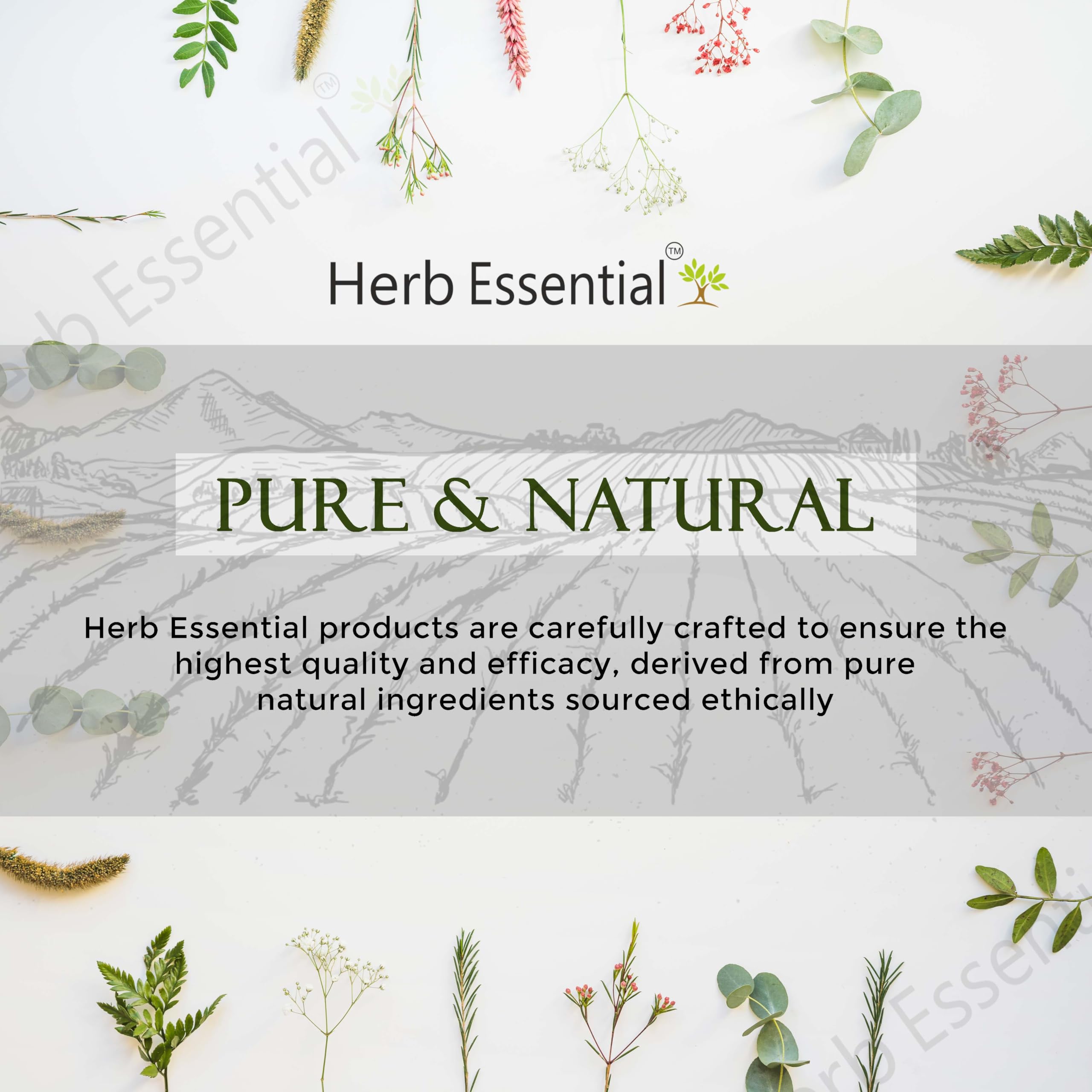 nutrient-rich papaya leaf powder