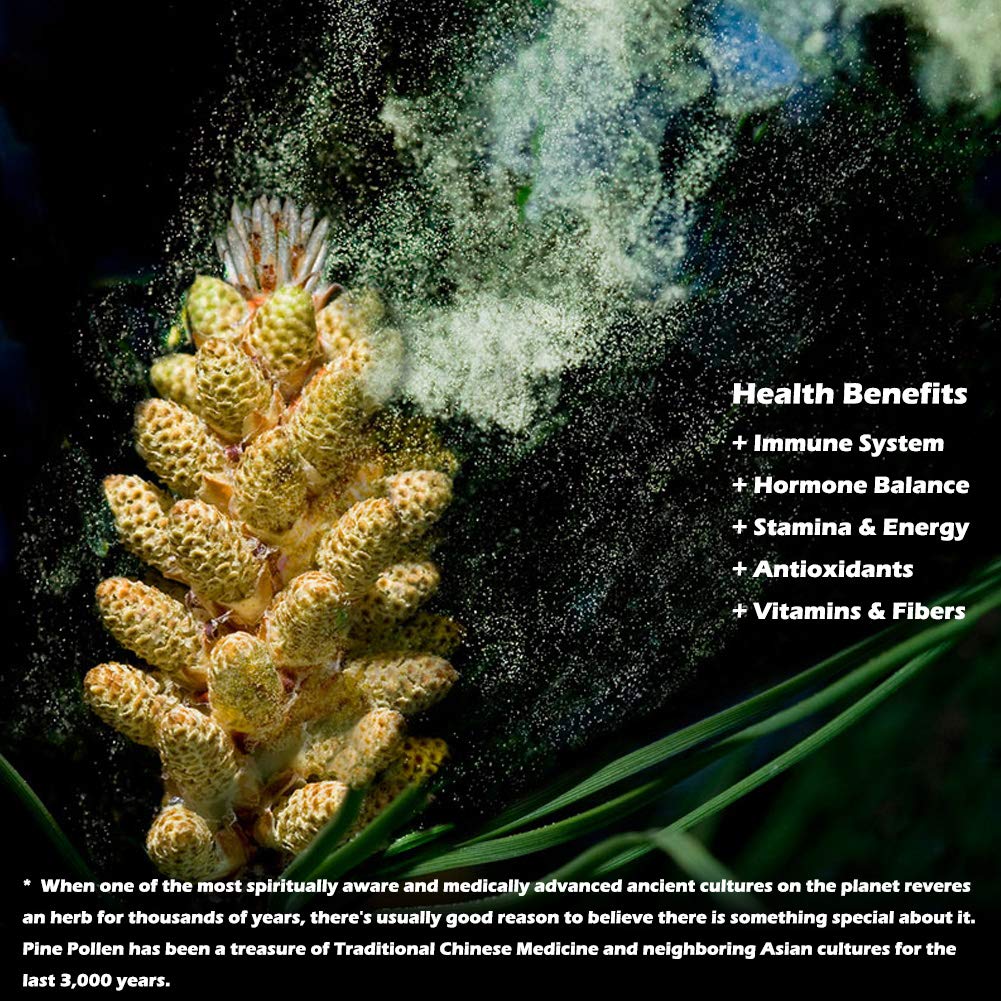nutrient-rich pine pollen powder