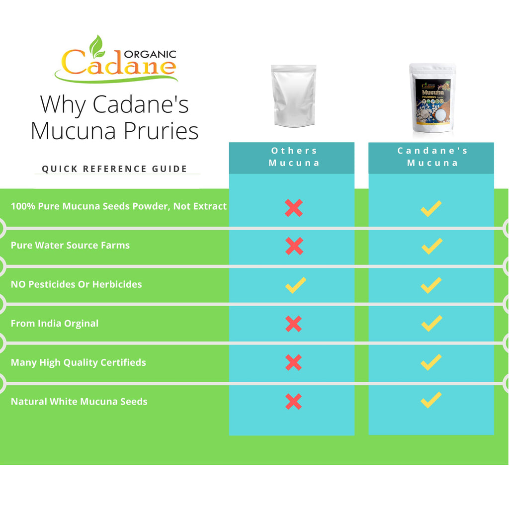 nutrient-rich powder for health enthusiasts