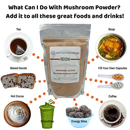 nutrient-rich reishi mushroom powder