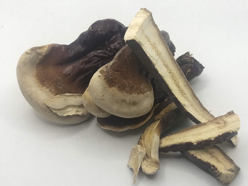 nutrient-rich reishi mushroom slices