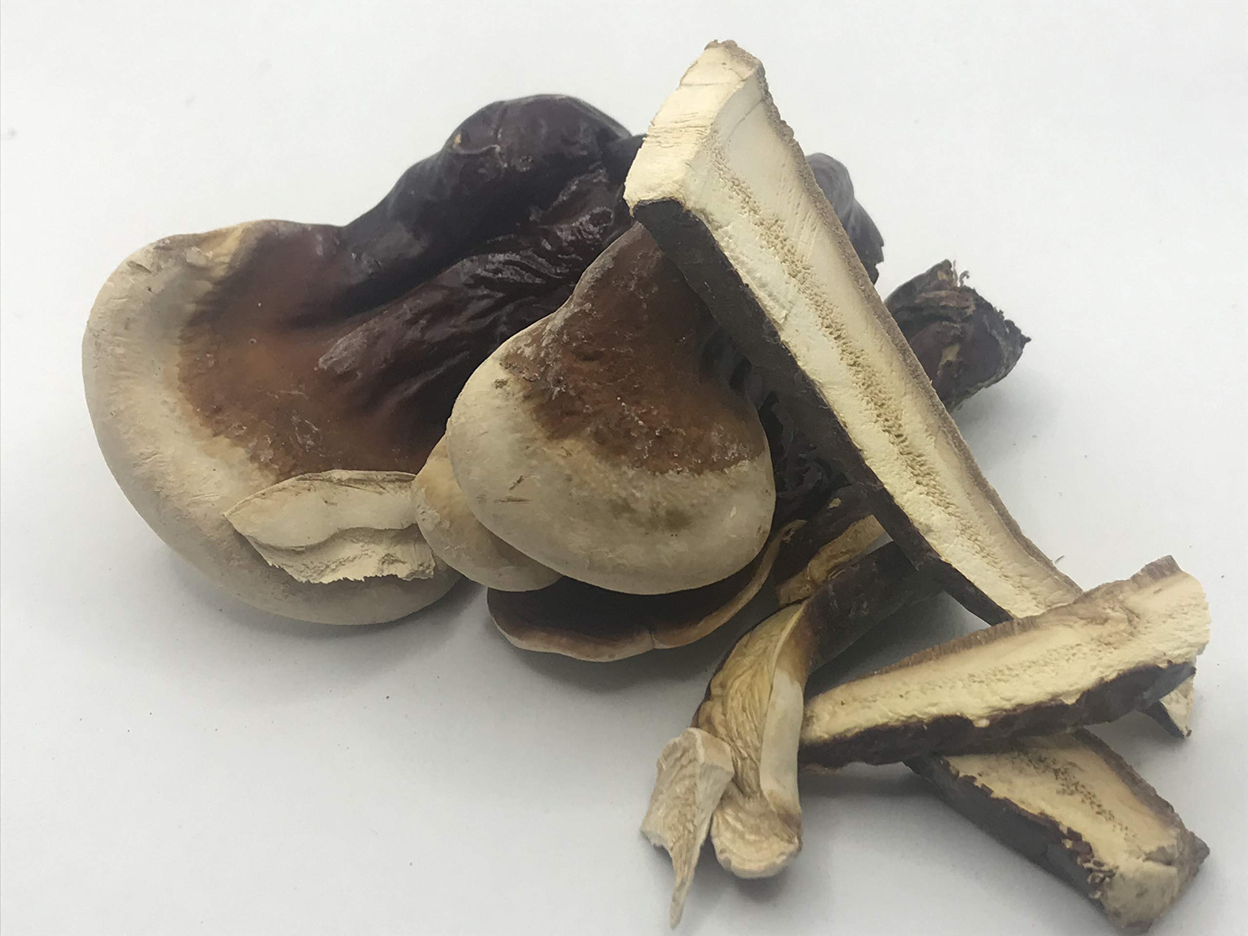 nutrient-rich reishi mushroom slices