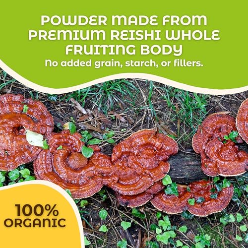 Nutrient-rich Reishi mushrooms for wellness