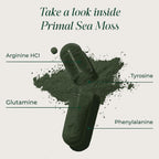 Nutrient-rich sea moss benefits
