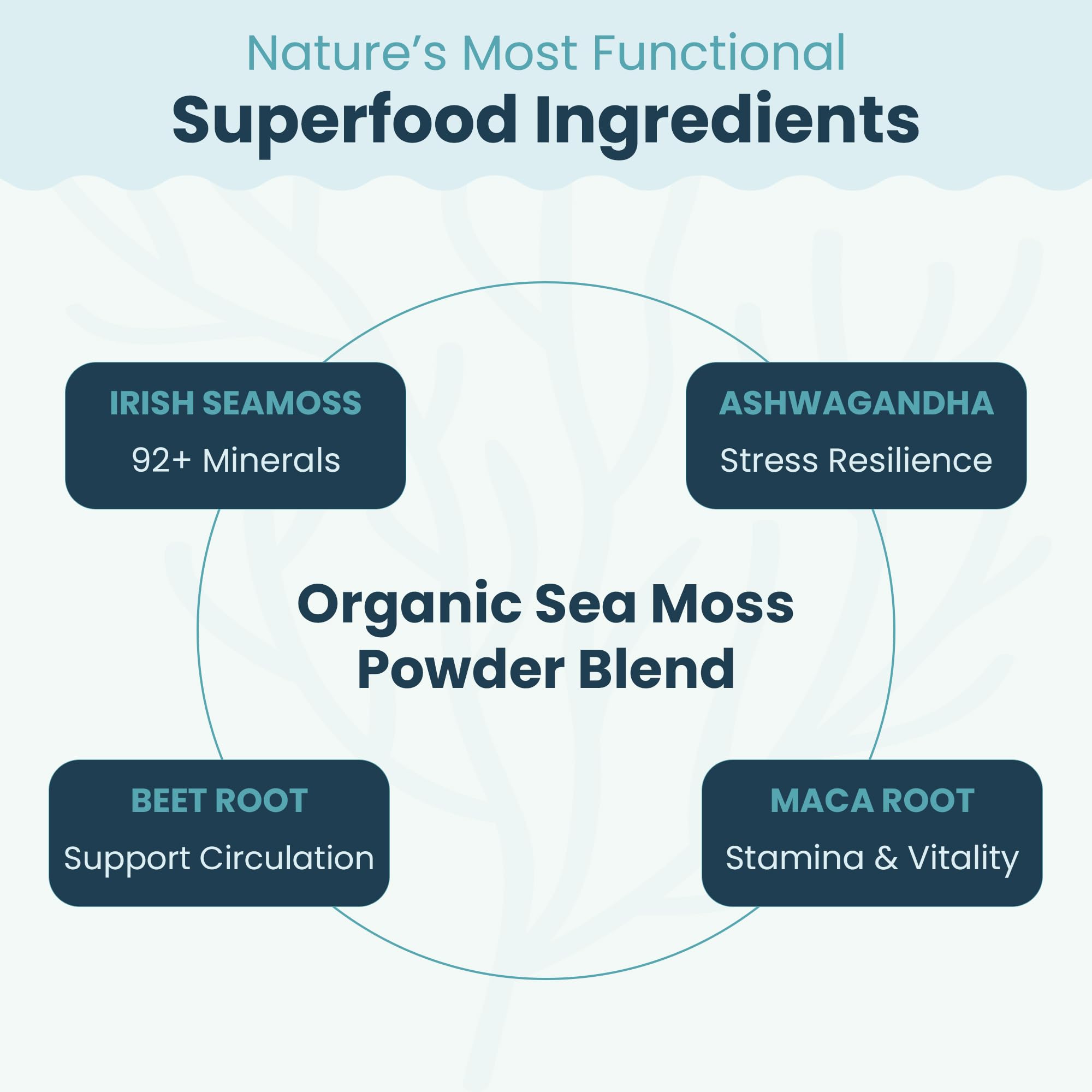 nutrient-rich sea moss blend