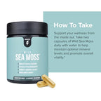 nutrient-rich sea moss capsules