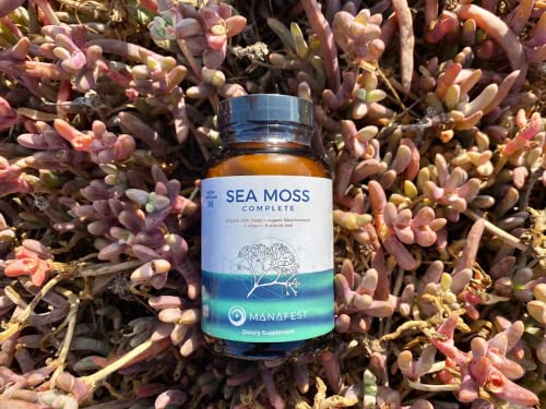 nutrient-rich sea moss for athletes