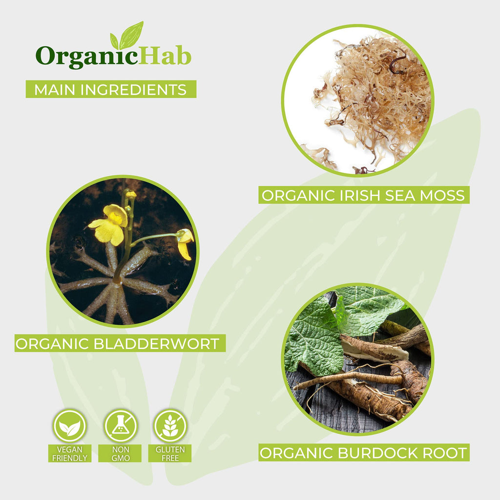 nutrient-rich sea moss for energy