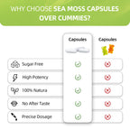nutrient-rich sea moss for vitality