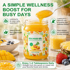Nutrient-rich sea moss for wellness