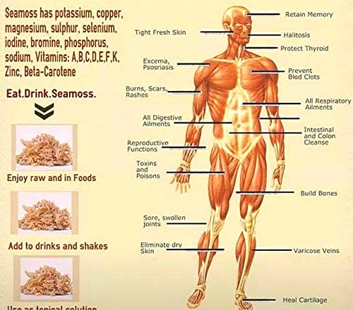 Nutrient-rich sea moss gel for vitality