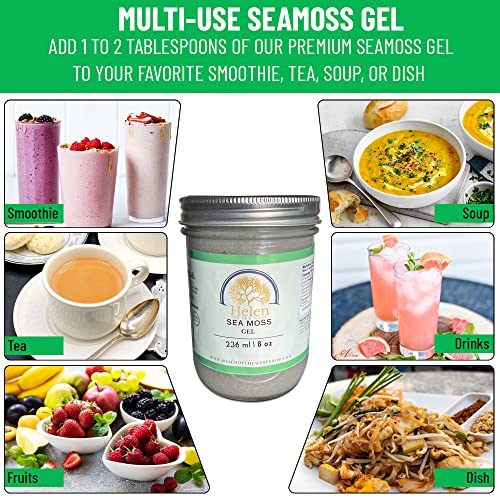 nutrient-rich sea moss gel