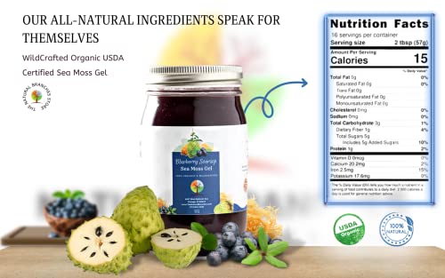 nutrient-rich sea moss gel