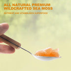nutrient-rich sea moss gel