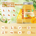 Nutrient-rich sea moss gel