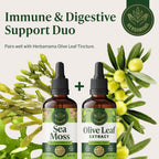 Nutrient-rich sea moss liquid formula